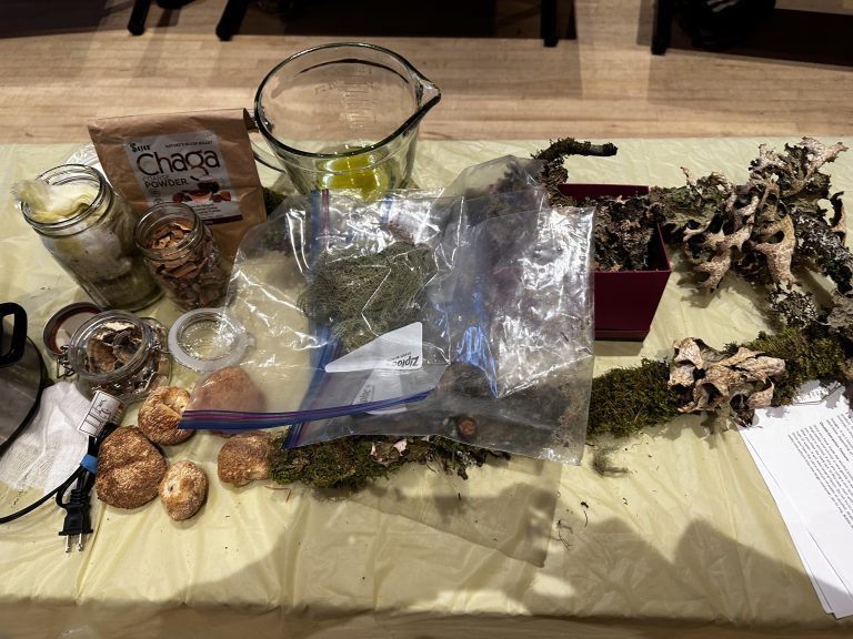 Traditional Plants and Medicine Workshop - Living Breath Indigenous ...